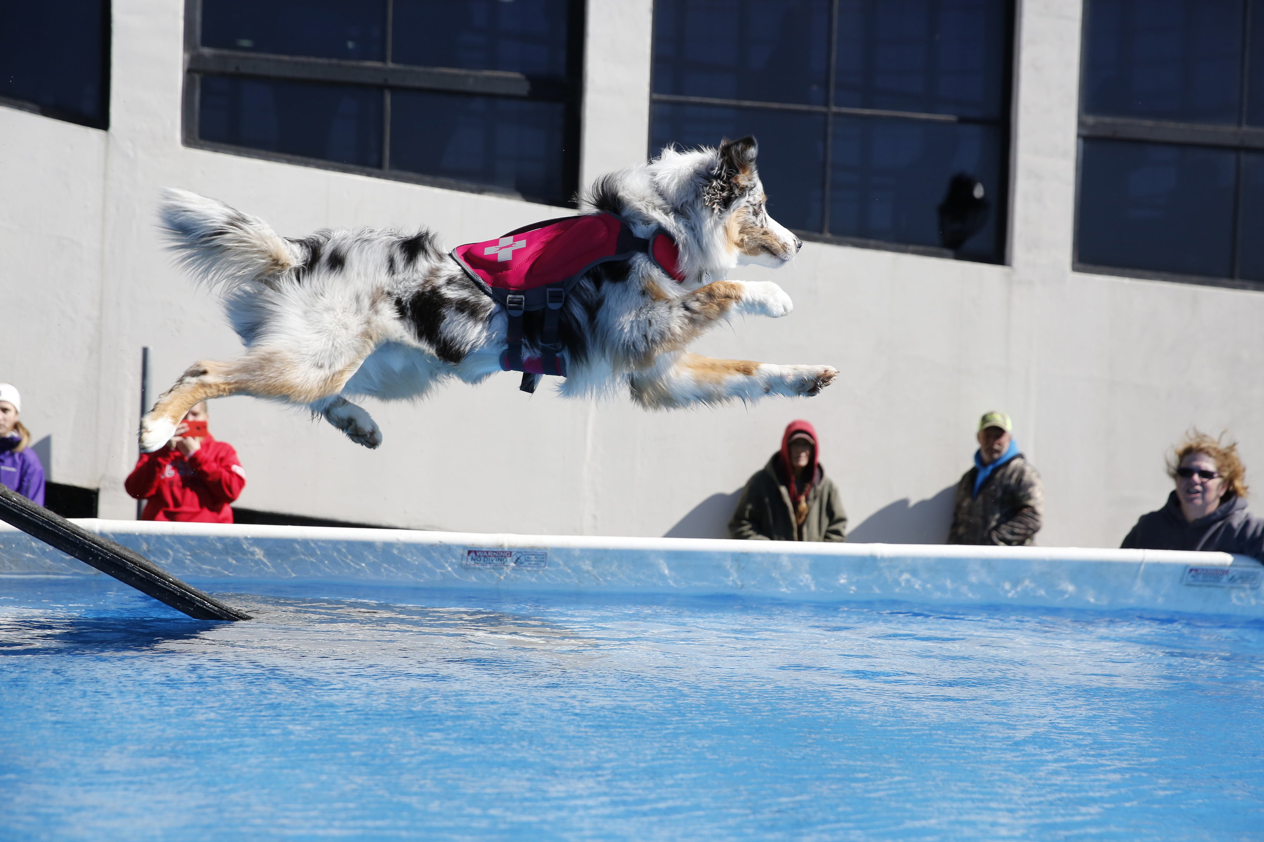 Carolina DockDogs find Big Air at Dixie Deer Classic | The North State ...