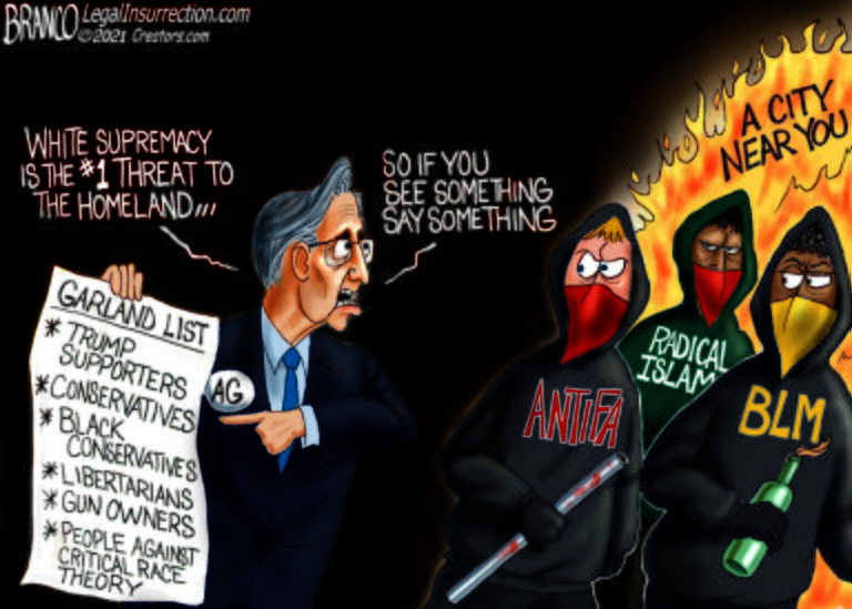 Editorial Cartoon – Domestic Terrorism | The North State Journal