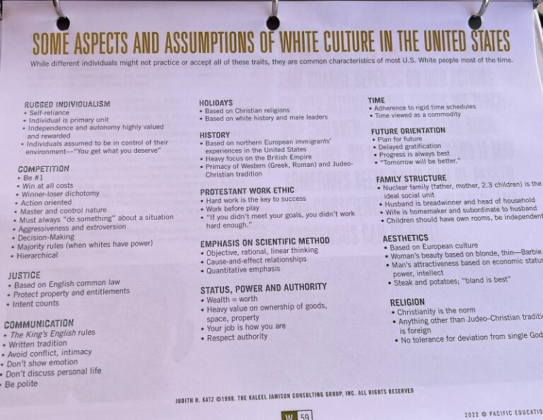 Chatham Schools using Critical Race Theory themed teacher training ...