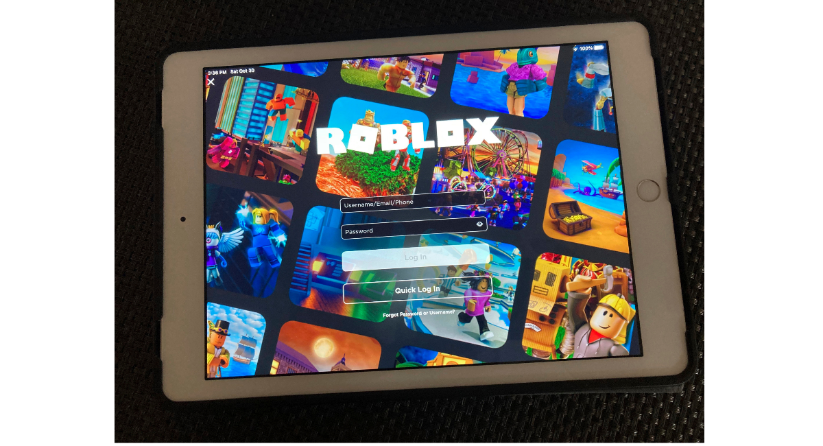 Roblox_inPixio | The North State Journal